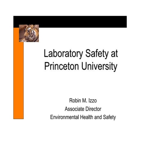 Izzo princeton lab_safety | PPT