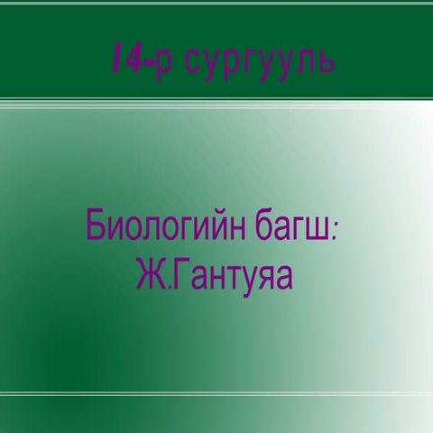 J.ganaa hicheel | ODP