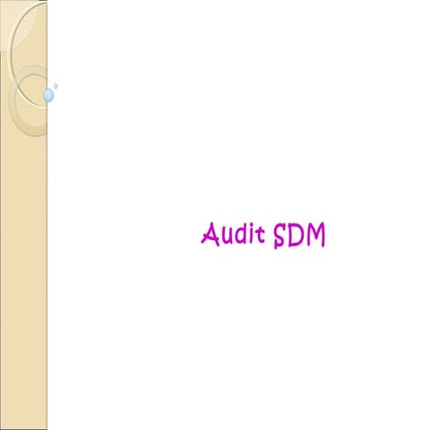 Audit SDM | PPT