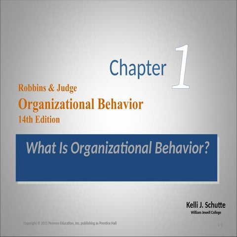 Chapter one in organizational behaviours | PPT