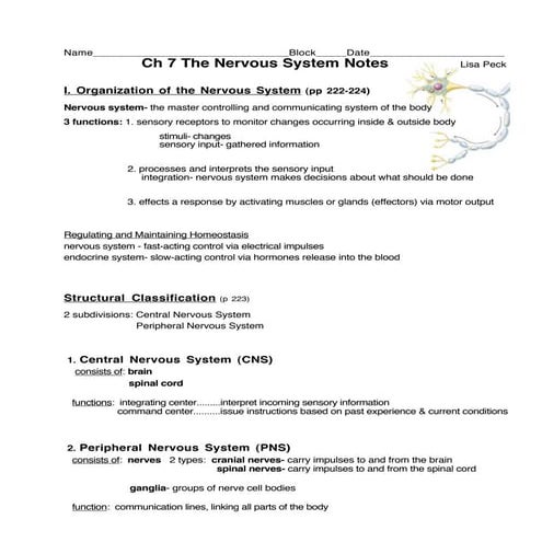 Nervous system ppt | PPTX