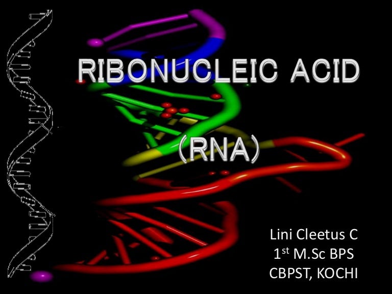 Ribonucleic acid