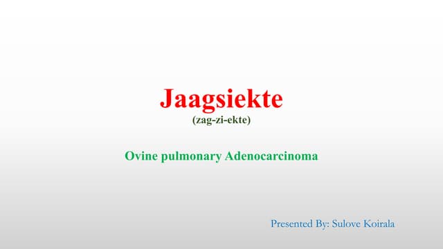 SenseTek Stratos Micra 25 datasheet | PDF