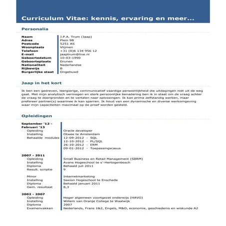 CV Jaap trum | PDF