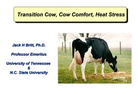 Learn to Score Body Condition for Dairy Cows | PPT