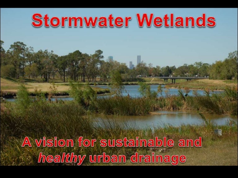 Stormwater Wetlands: A Vision for Sustainable and Healthy Urban Drain…