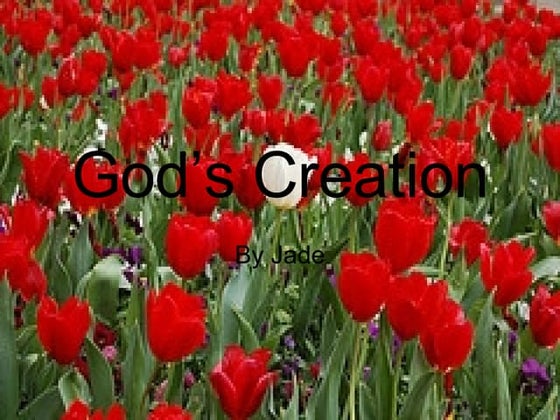 Creation story | PPT