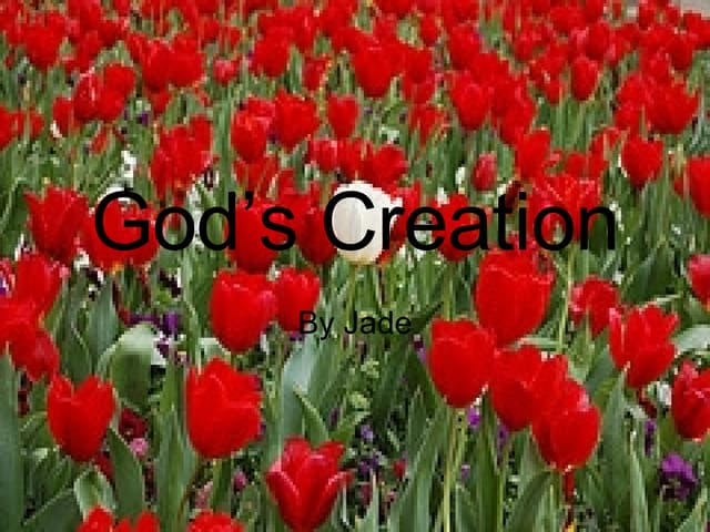 Creation story | PPT