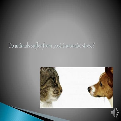 Do animals suffer from post-traumatic stress? | PPTX | Brain and ...