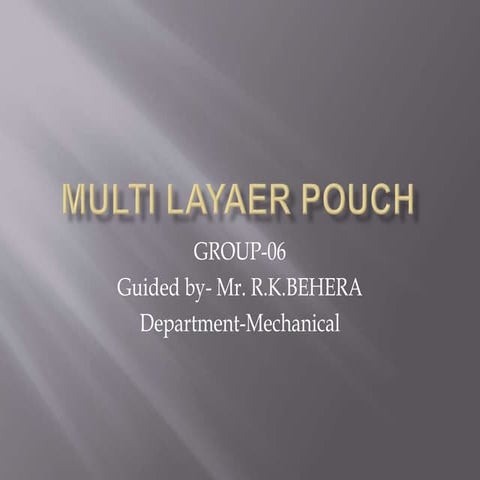MULTI LAYER POUCH FACTORY | PPTX