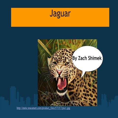 Jaguar reading comprehension.pdf