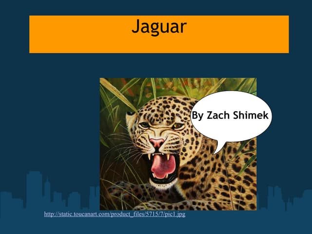 Jaguar reading comprehension.pdf