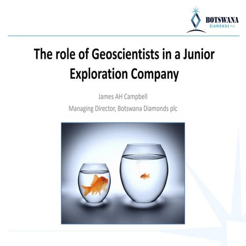 The role of Geoscientists in a Junior Exploration Company | PDF