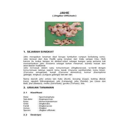Jahe | PDF