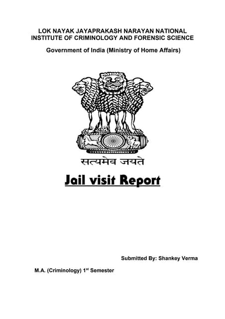 Jail Visit Report | PDF