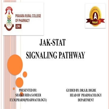 JAK - STAT SIGNALING PATHWAY. pptx | PPTX