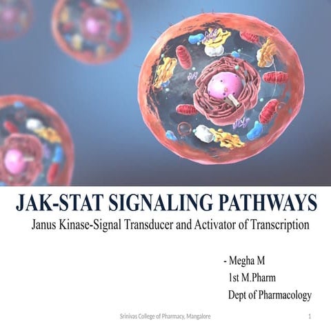 JAK-STAT SIGNALLING PATHWAYS.ppt presentation | PPTX