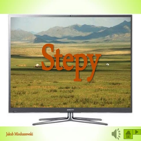 Jakub mioduszewski stepy | PPSX