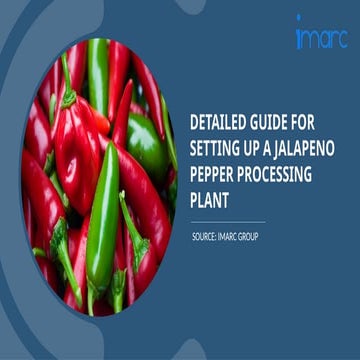 Jalapeno Pepper Processing Plant Setup Report.pptx