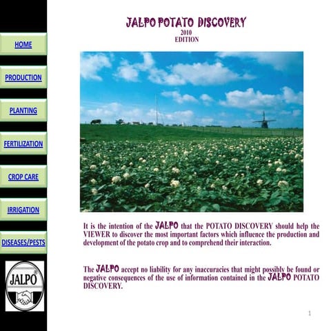 Jalpo potato discovery version | PPTX