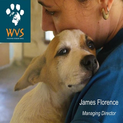 ITP March 2013 - James Florence - WVS Presentation | PPT