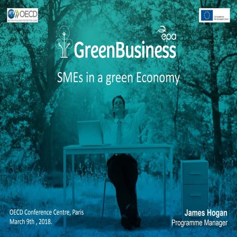 SMEs in a Green Economy | PPTX