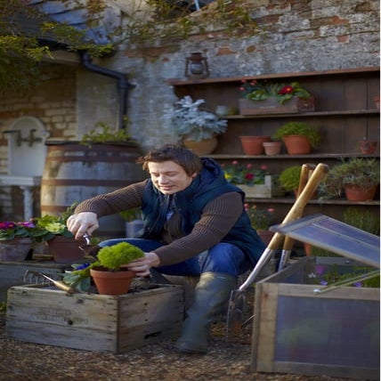 Jamie Oliver | PDF