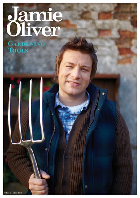 Jamie Oliver | PDF