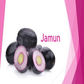 Jamun | PPTX