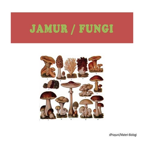 Jamur / Fungi | PPT