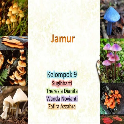 Jamur | PPTX