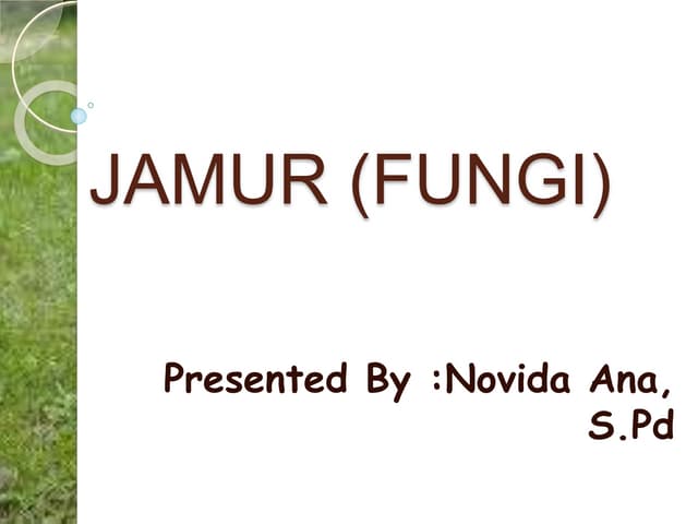 Presentasi Jamur (fungi) | PPTX
