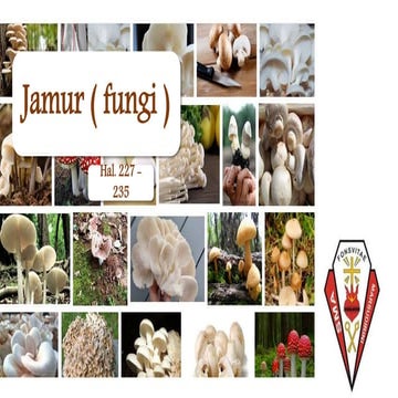 Jamur (fungi) | PPTX