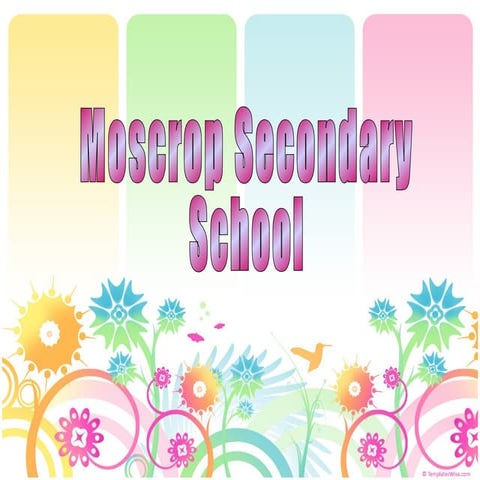 Jan29th2010homepage | PPT