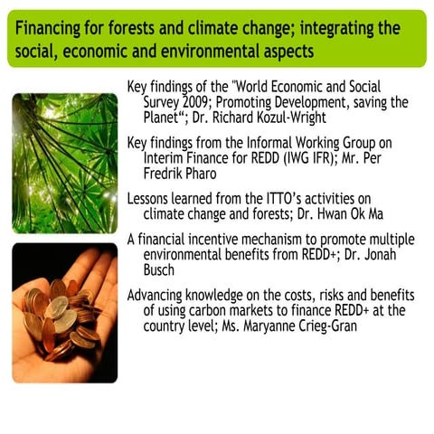 The UN Forum on Forests: Facilitating and catalyzing SFM financing | PDF