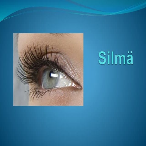 Silmä | PPTX