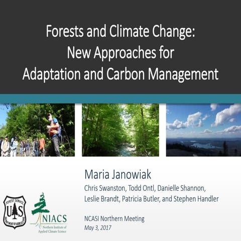 Forests and Climate Change: New Approaches for Adaptation and Carbon ...