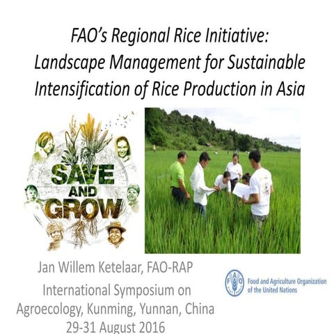 FAO’s Regional Rice Initiative: Landscape Management for Sustainable ...