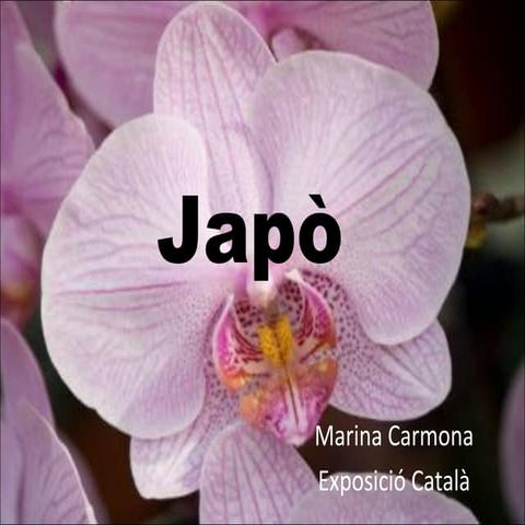 Japò | PPT