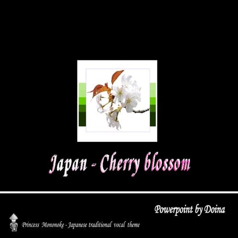 Japan Cherry Blossom | PPS