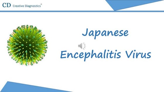 Japanese Encephalitis | PPT