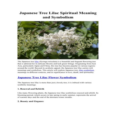 Japanese Tree Lilac Spiritual Meaning and Symbolism.docx