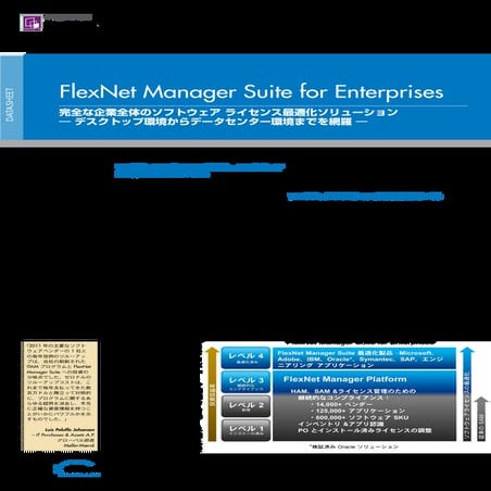 FlexNet Manager Suite for Enterprises Datasheet | PDF