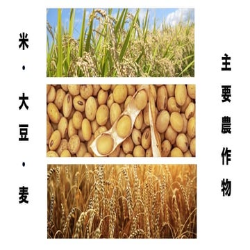 Japan Seed Abolition Law | PDF