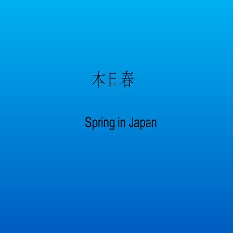 Japan Spring | PPS