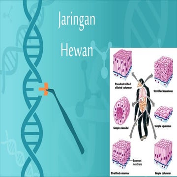 Jaringan Hewan CBN Fiber CBN Fiber Added A New Photo.