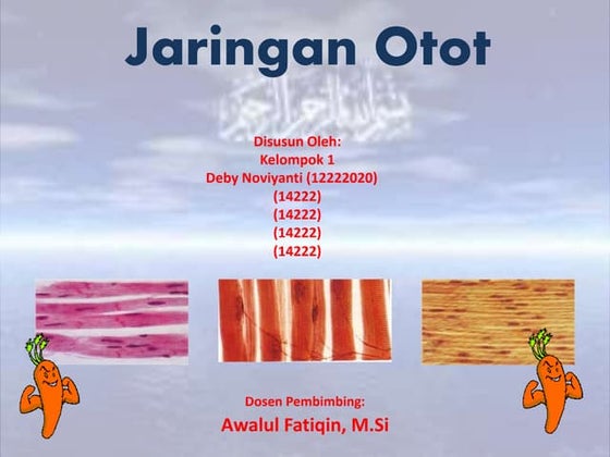 struktur histologis otot | PDF