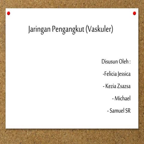 Presentasi Jaringan Pengangkut (Vaskuler) | PPTX