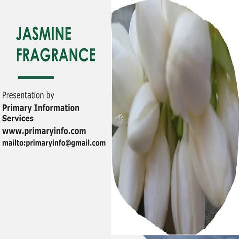 Jasmine | PDF