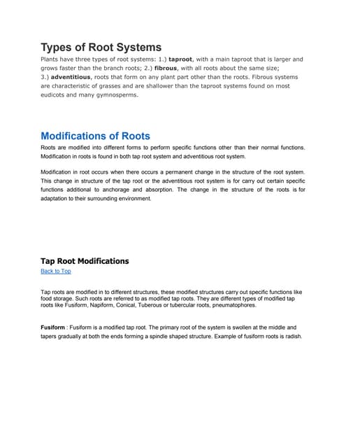 Modifications of roots | PPTX
